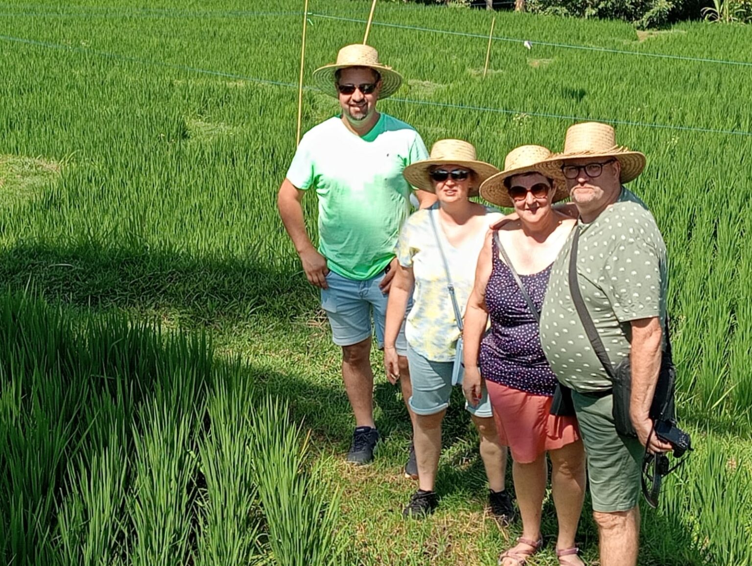 BEST ACTIVITIES VISIT AND TREKKING RICE TERRACE AT MAYONG VILLAGE ...